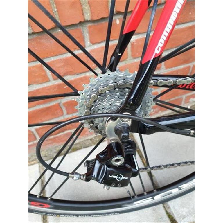 Koersfiets Wilier Triestina Kopen | Sportfietsen